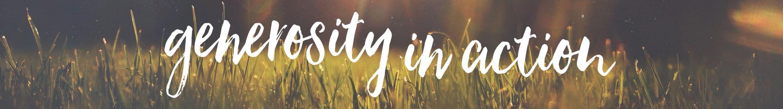 Generosity in Action - New Life Church